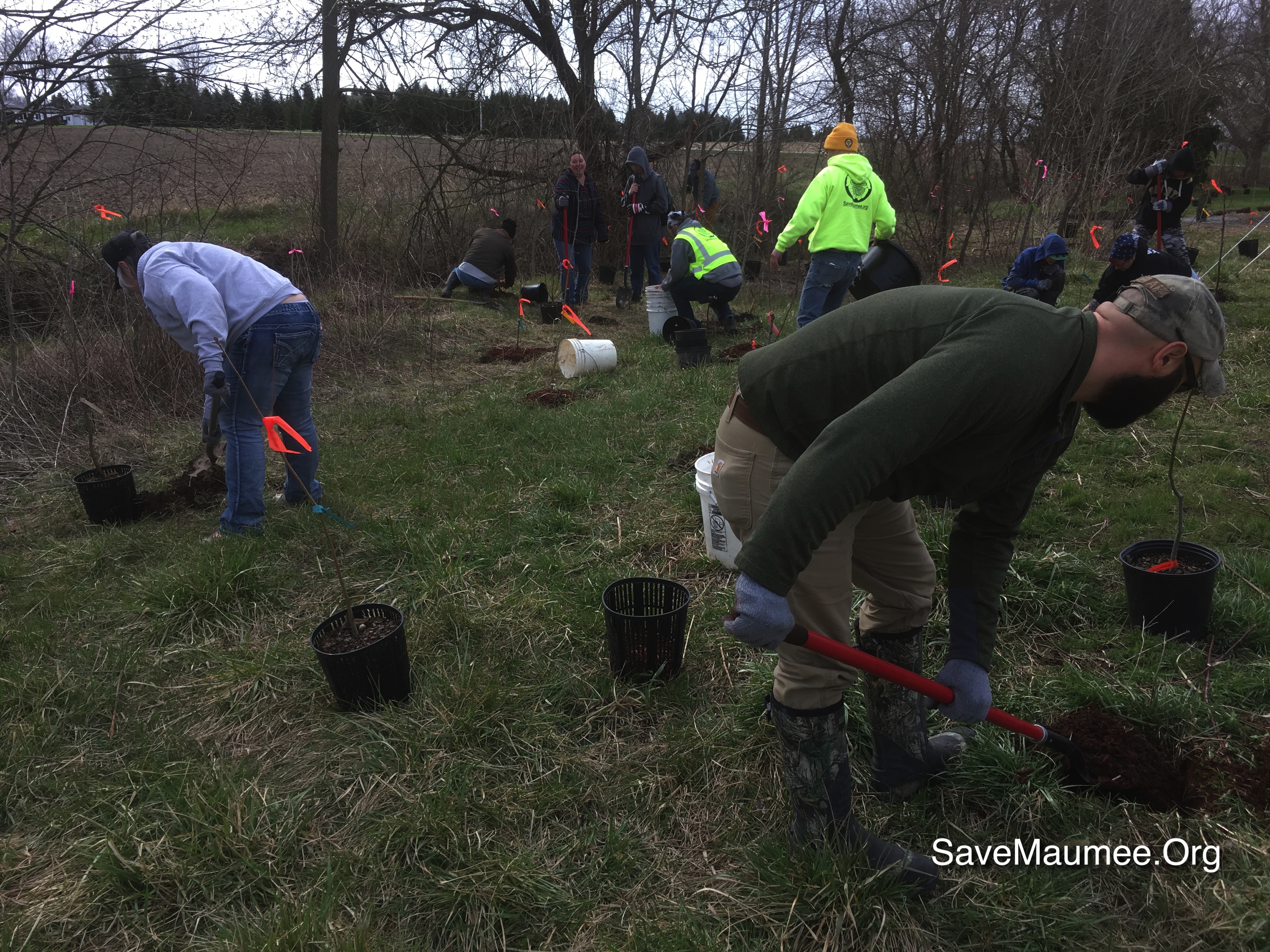 Gar_Creek, riparian_buffer, six_mile_creek, restoration_Maumee, tree ...