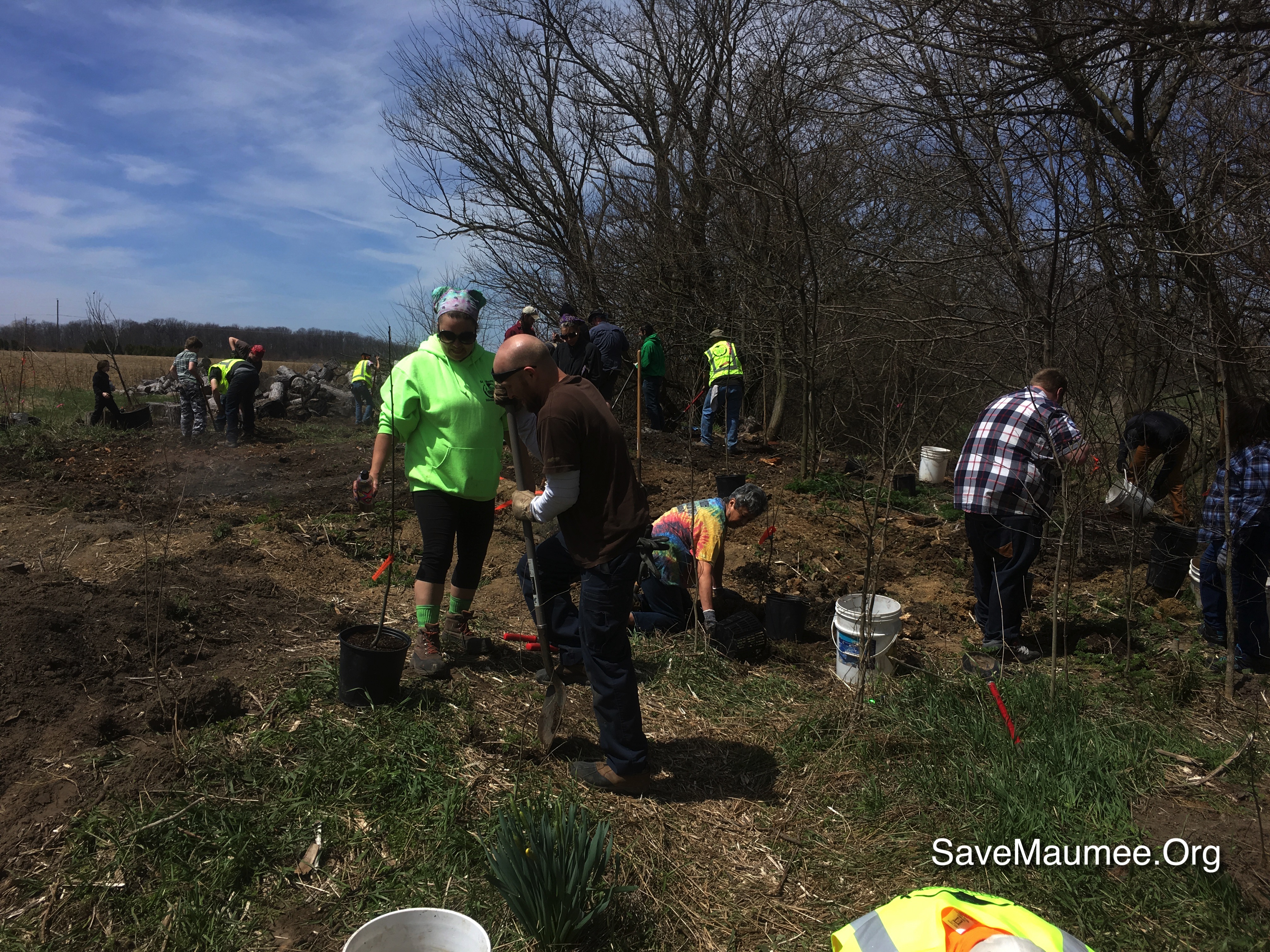 Gar_Creek, riparian_buffer, six_mile_creek, restoration_Maumee, tree ...