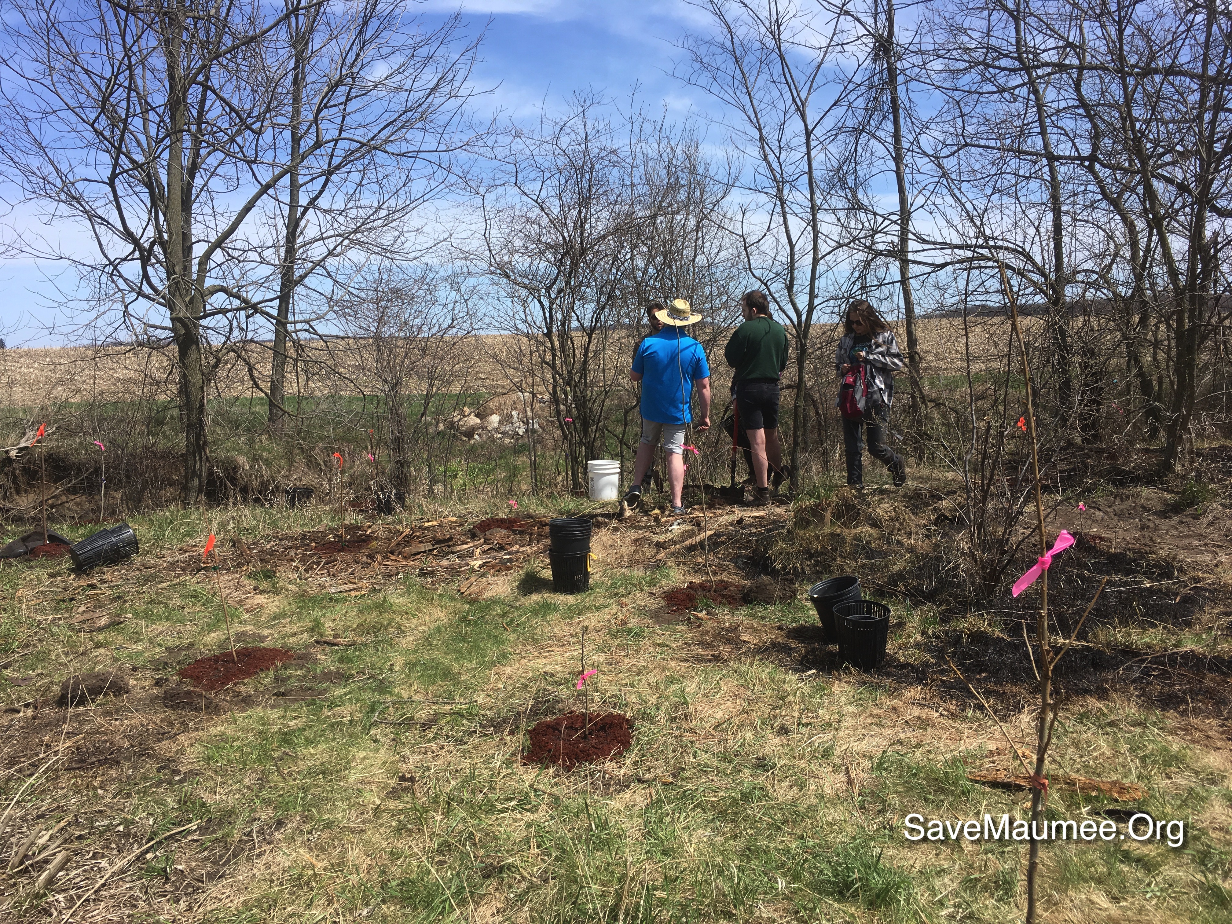Gar_Creek, riparian_buffer, six_mile_creek, restoration_Maumee, tree ...