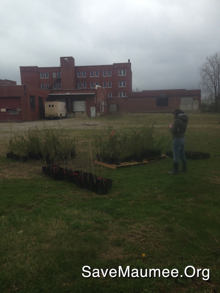 Save Maumee Riparian Buffer Initiative – Save Maumee Save Maumee Riparian Buffer Initiative – Save Maumee